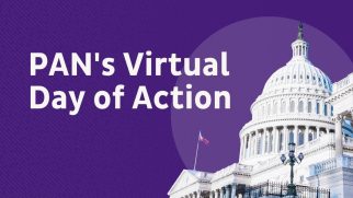 PAN Foundation - Home