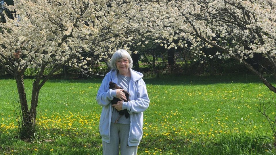 PAN Foundation - Home