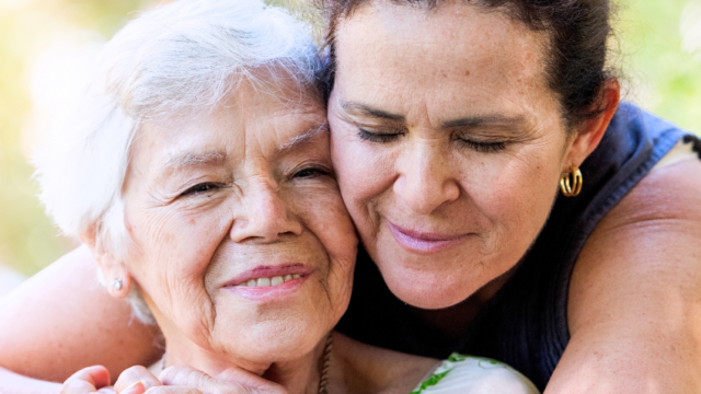 PAN portal help - PAN Foundation